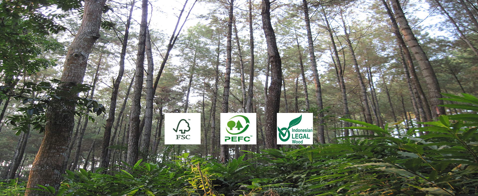 GROW BUSINESS TO NEXT LEVEL - greenwood CONSULT